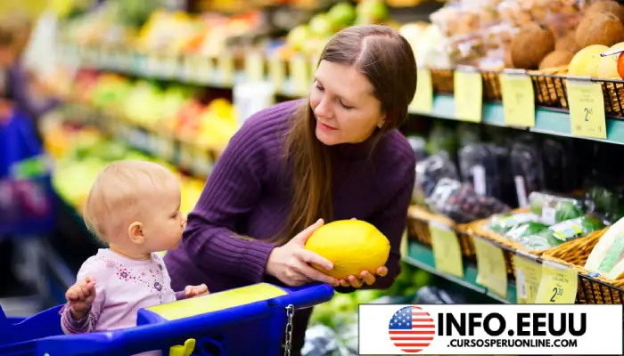 Ayuda Alimentaria para Hogares de Bajos Ingresos en Estados Unidos